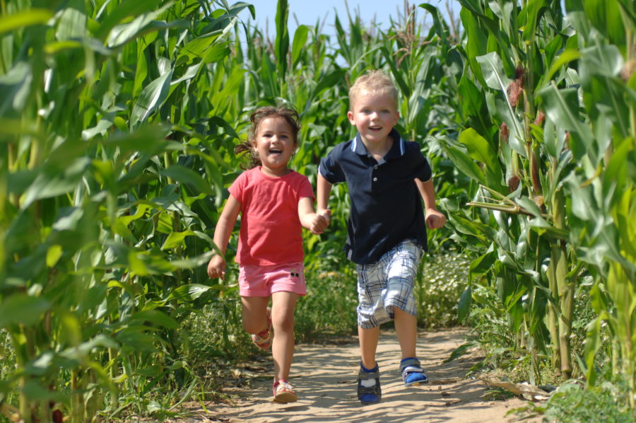 Kid’s Farm, Children’s Farm and Peter Rabbit Adventure Playground ...
